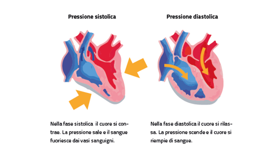 Misurazione corretta della pressione arteriosa - Viaggio intorno al ...